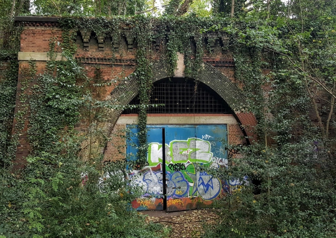 096 - London's Wildest Places - Sydenham Hill Wood