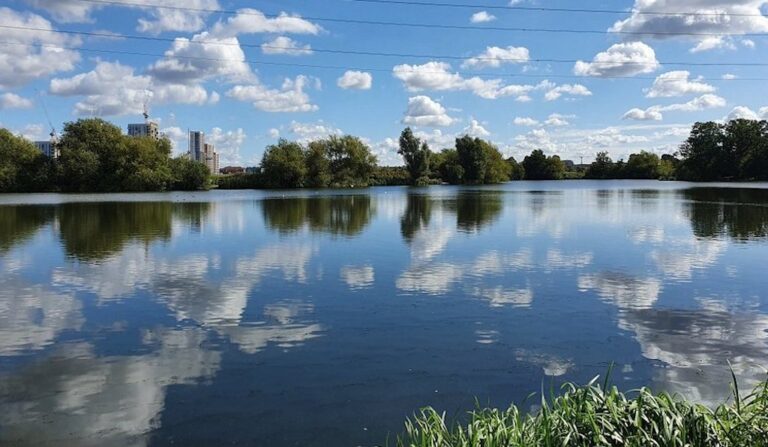 120 London's Wild Places Walthamstow Wetlands Part One