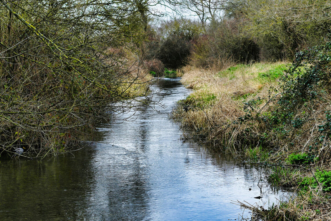 124 Chalk Streams River Lavant